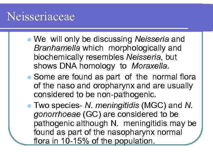 Neisseriaceae The Gram negative cocci of clinical importance