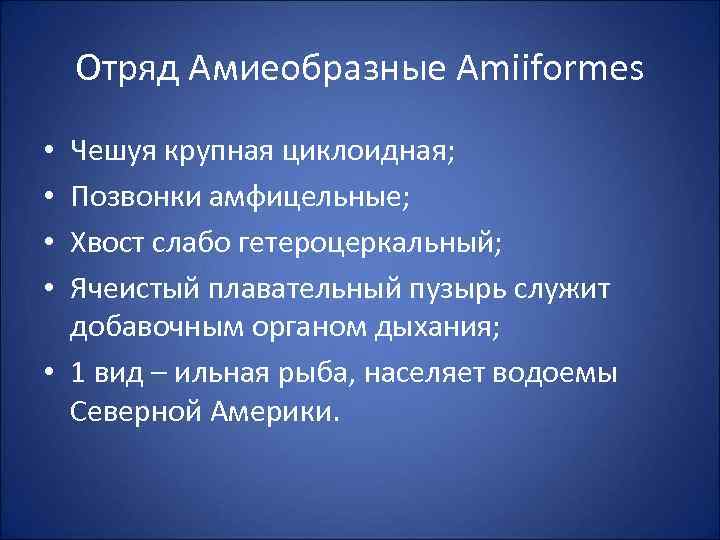 Многообразие костных рыб Класс Костные рыбы Osteichthyes