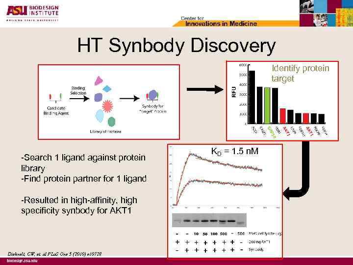 CIM Synbody Technology International Biotechnology Symposium Bio-Asia 2015