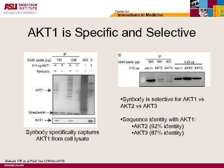 CIM Synbody Technology International Biotechnology Symposium Bio-Asia 2015
