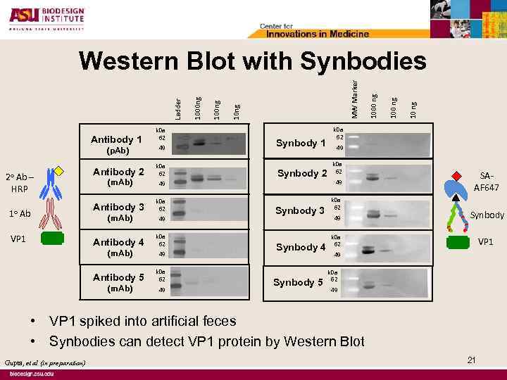 CIM Synbody Technology International Biotechnology Symposium Bio-Asia 2015
