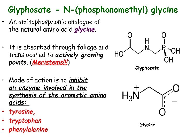 Plant Biotechnology and GMOs Chapter 14 Plus other