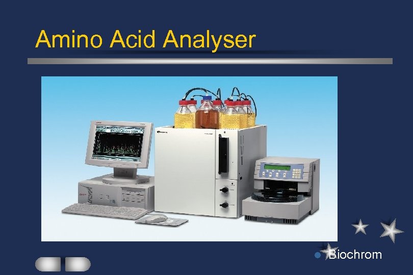 Amino Acid Analyser 2000 6 17 석사 3기