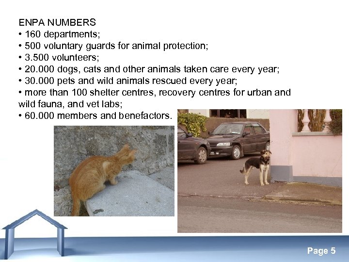 ITALY NON-PROFIT NATIONAL BOARD FOR THE ANIMAL PROTECTION