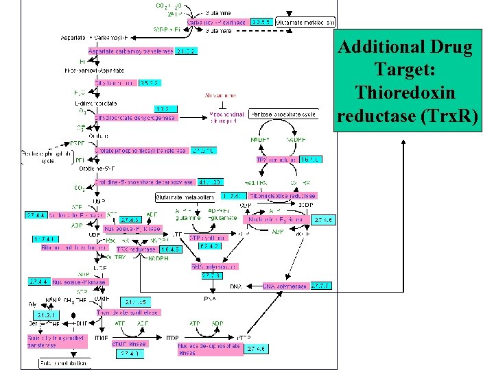 Case Study 1 Use of bioinformatics in drug