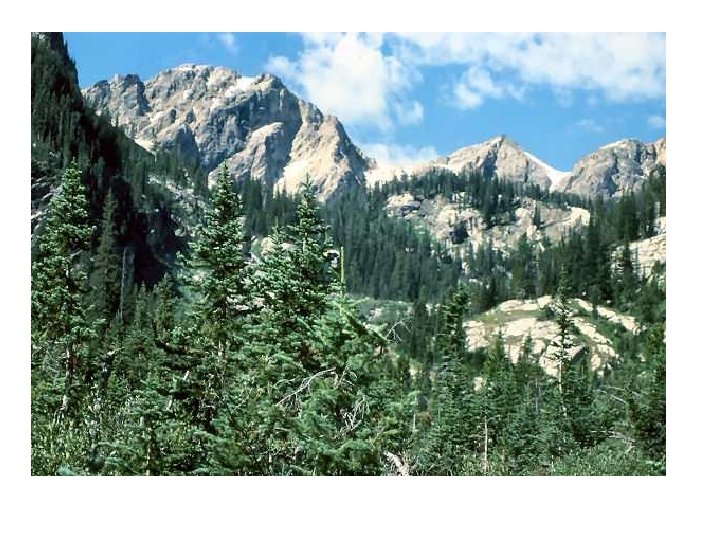 BIOMY Okolo 10 terestrických typů a vodní biomy