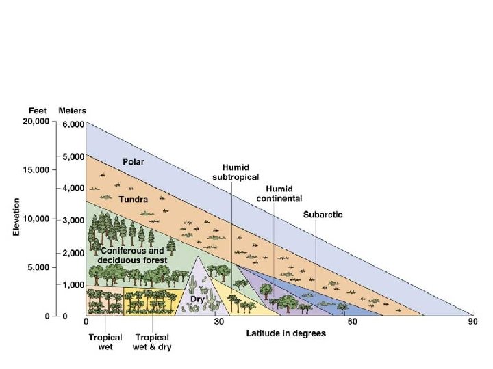 BIOMY Okolo 10 terestrických typů a vodní biomy