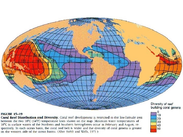 BIOMY Okolo 10 terestrických typů a vodní biomy