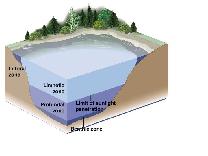 BIOMY Okolo 10 terestrických typů a vodní biomy