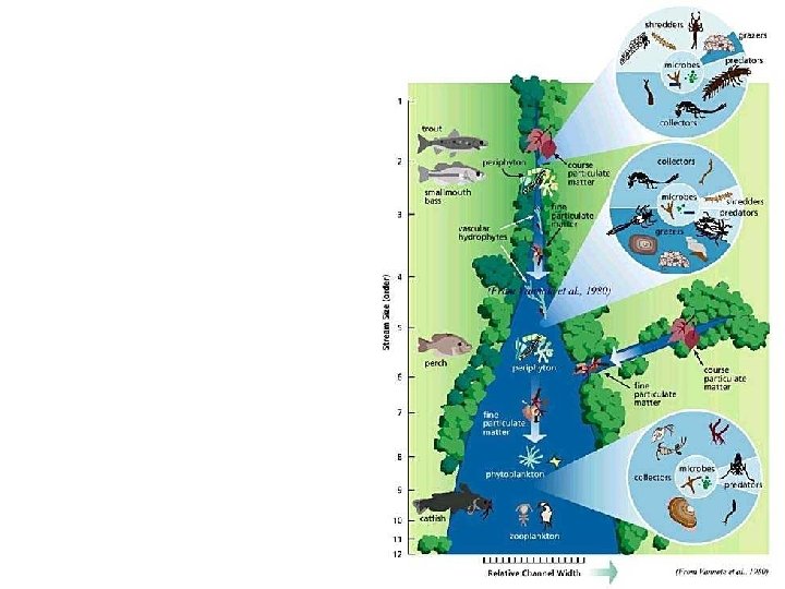 BIOMY Okolo 10 terestrických typů a vodní biomy
