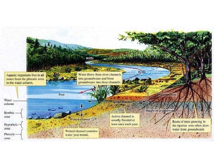 BIOMY Okolo 10 terestrických typů a vodní biomy