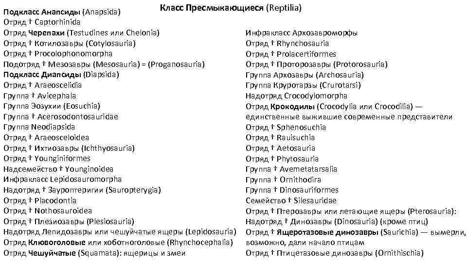 Челюсти в классах костных и хрящевых рыб эволюционно