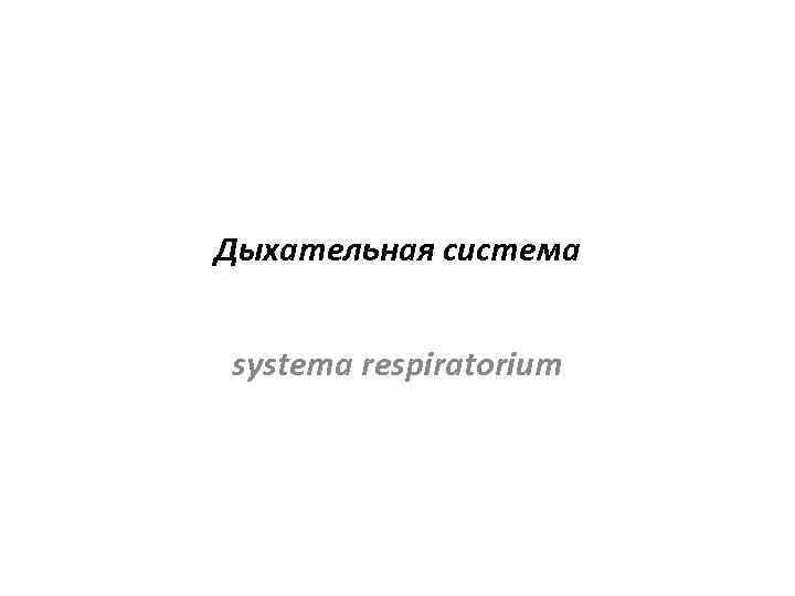 Дыхательная система systema respiratorium Нос 1