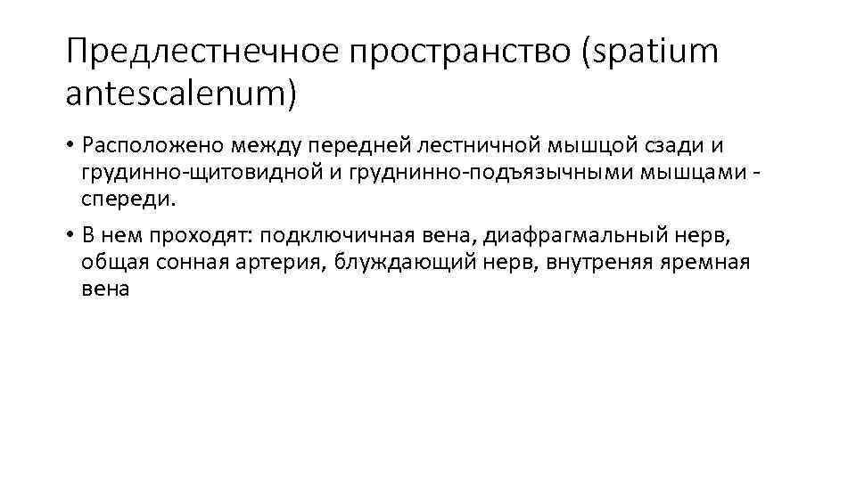 Шея Границы Сверху границами области шеи