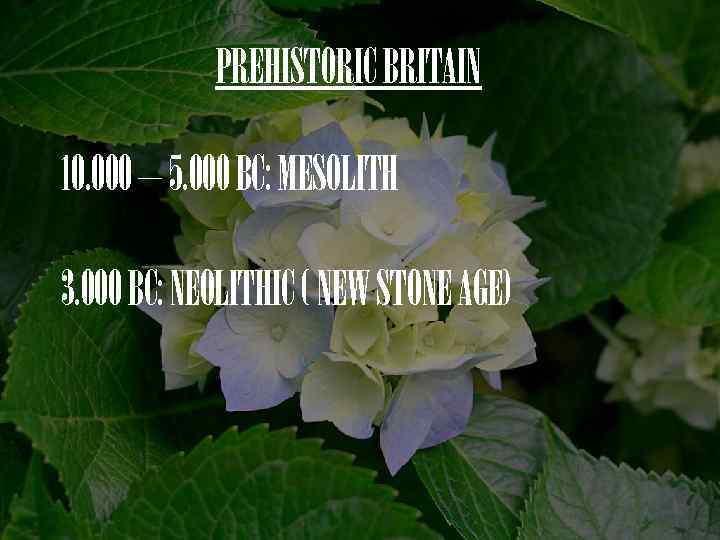 PREHISTORIC BRITAIN 10 000 5 000 BC