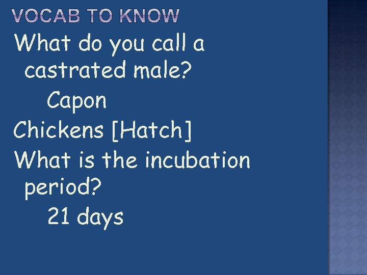 Students will Identify major breeds of chicken