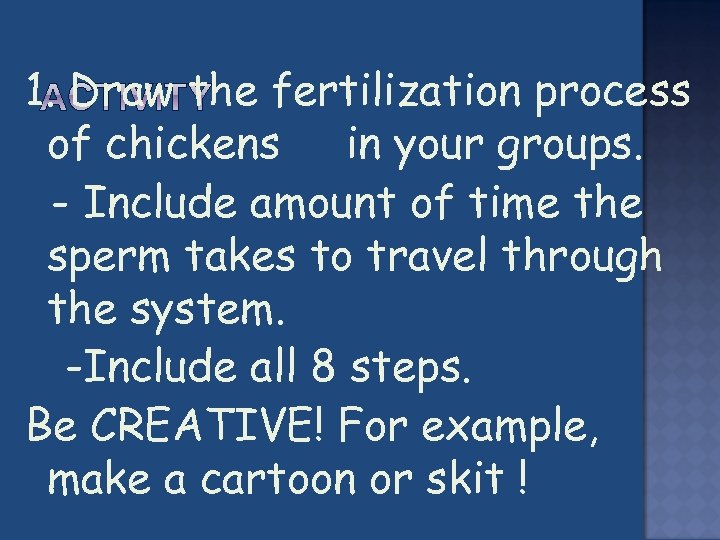 Students will Identify major breeds of chicken