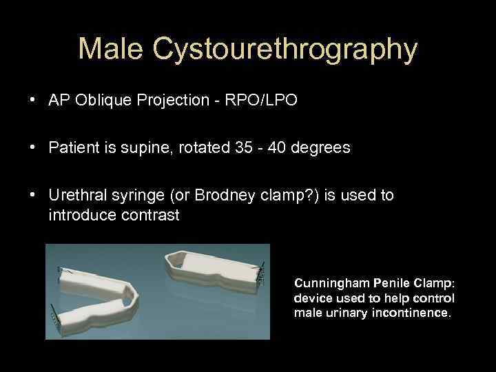 Chapter 18 The Urinary System 9 9 10 Classroom ed