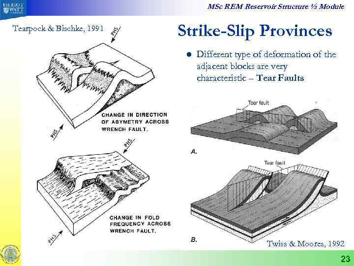 MSc REM Reservoir Structure ½ Module Structure Families