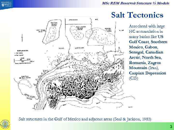 MSc REM Reservoir Structure ½ Module Structure Families