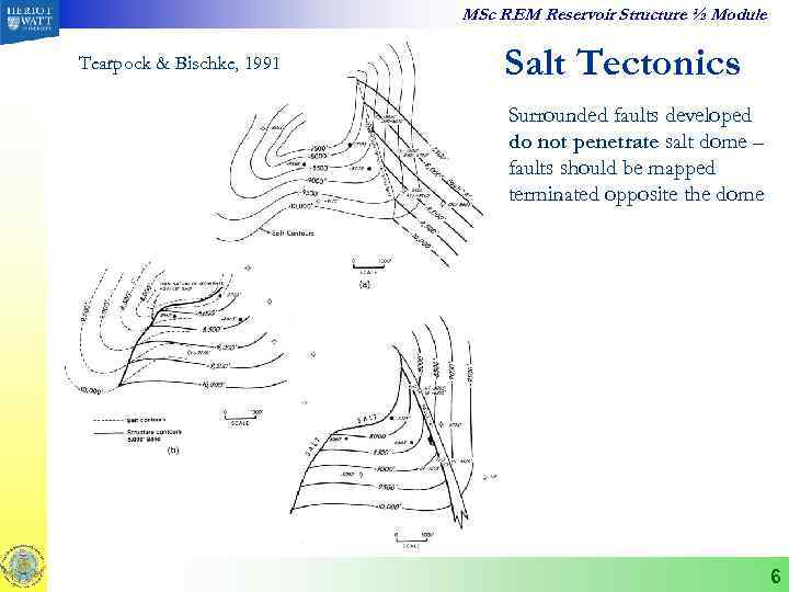 MSc REM Reservoir Structure ½ Module Structure Families