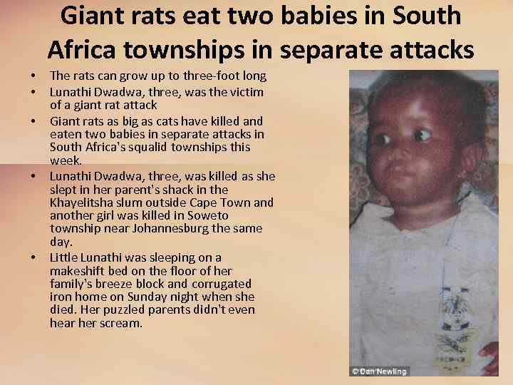 Afghan National Guard vets reunited with 8 battlefield