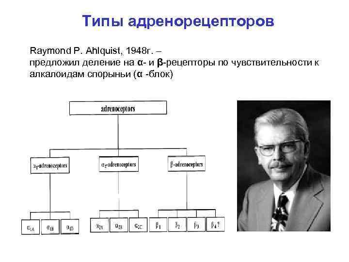 Адренергические препараты Марусов И В доцент каф