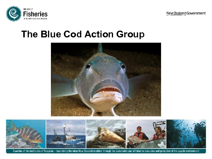 The Blue Cod Action Group Agenda