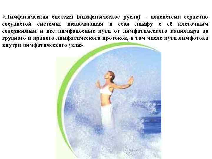 ЛИМФАТИЧЕСКАЯ СИСТЕМА systema lymphaticum И Н Путалова