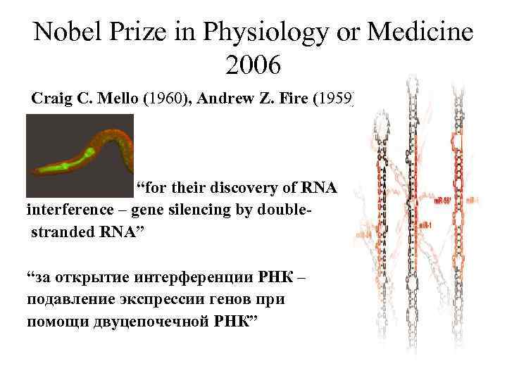 Craig Mello Andrew Fire Нобелевская премия по