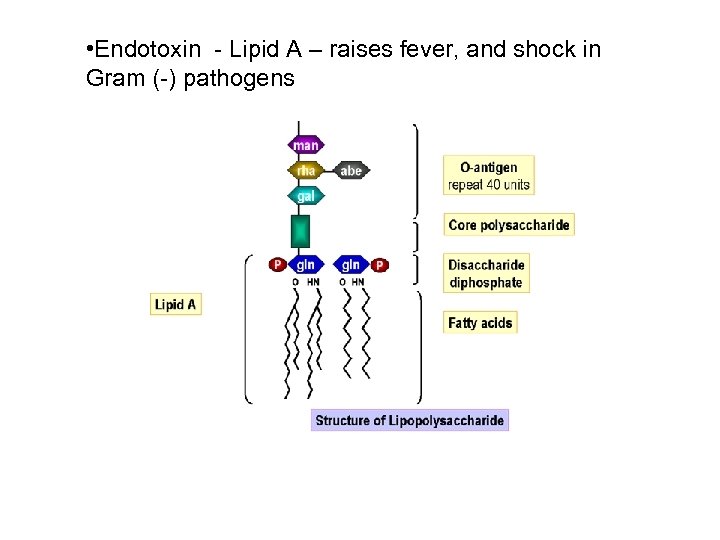 Microbiology Chapter 13 Pathology Science of study