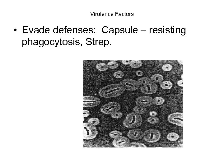 Microbiology Chapter 13 Pathology Science of study