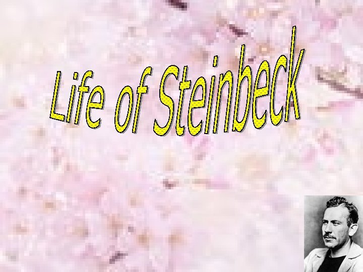 BIOGRAPHERS John Ernst Steinbeck