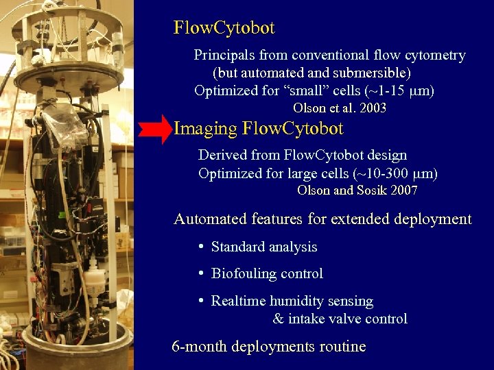 Plankton Analysis by Automated Submersible Imaging-in-Flow Cytometry ...