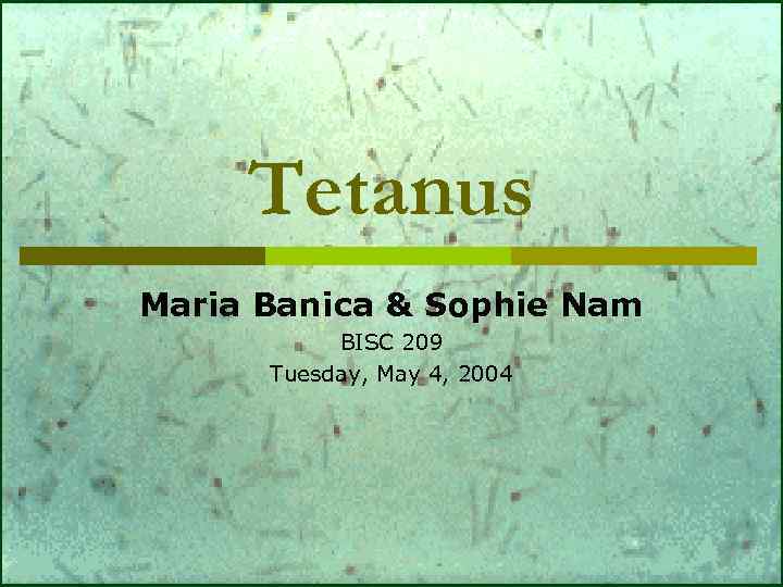 Tetanus Maria Banica Sophie Nam BISC 209