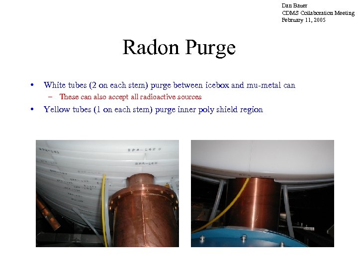 Dan Bauer CDMS Collaboration Meeting February 11 2005