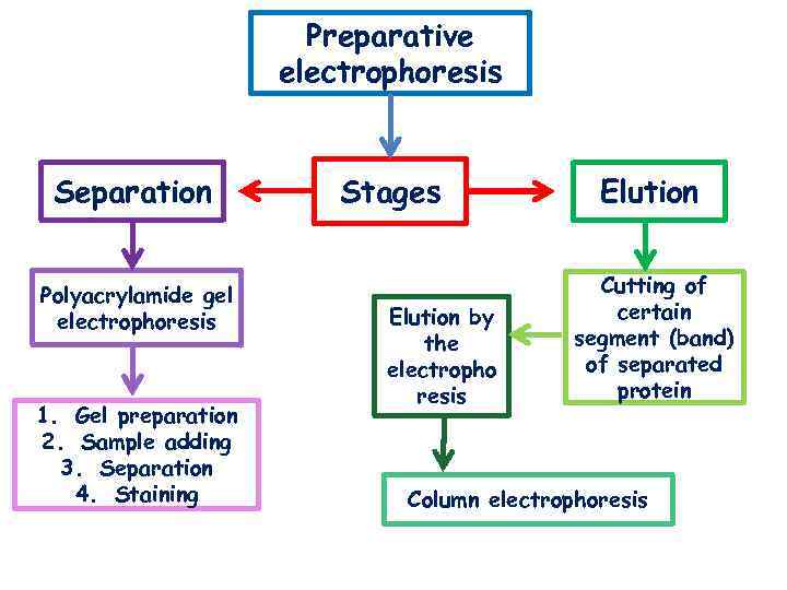Preparative electrophoresis Done by Naizabayeva D Accepted by