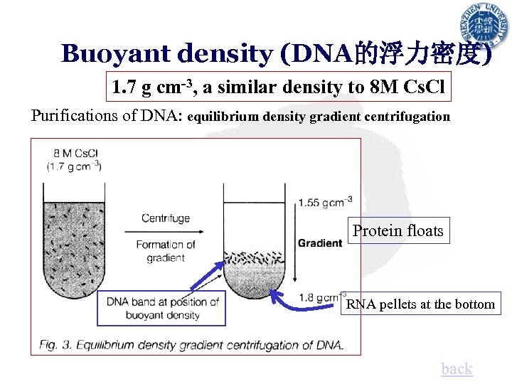 Chapter 2 Properties of Nucleic Acids 2
