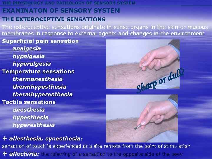 Nervous System functions The nervous system serves three