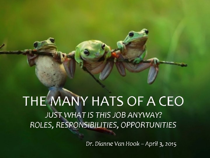 THE MANY HATS OF A CEO JUST WHAT