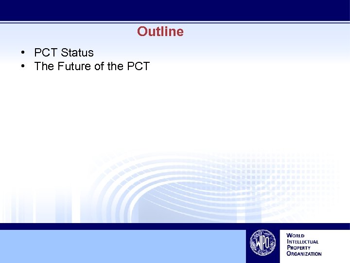 The Working and Future of the PCT APAA