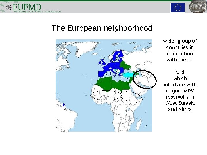 Ongoing and planned activities Eu FMD Commission