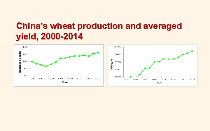 Wheat production and genetic improvement in China progress