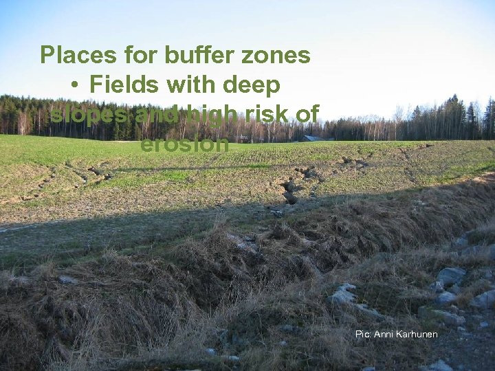 General planning of biodiversity buffer zones and wetlands