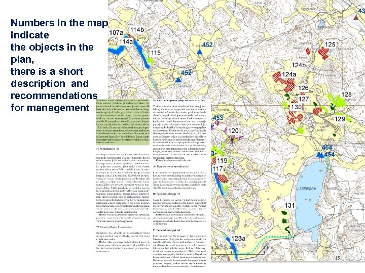 General planning of biodiversity buffer zones and wetlands