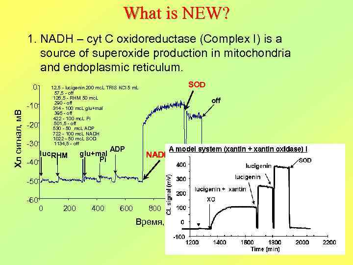 Свободные радикалы и болезни Ю А Владимиров Медико-биологический