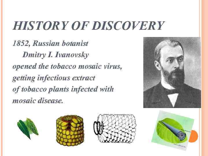 VIRUSES Prepared by Toletai D Group FK-12 -5