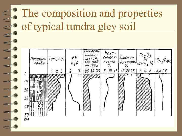 Tundra soils Completed Ahmetbekov Mukhtar AL-205 Check