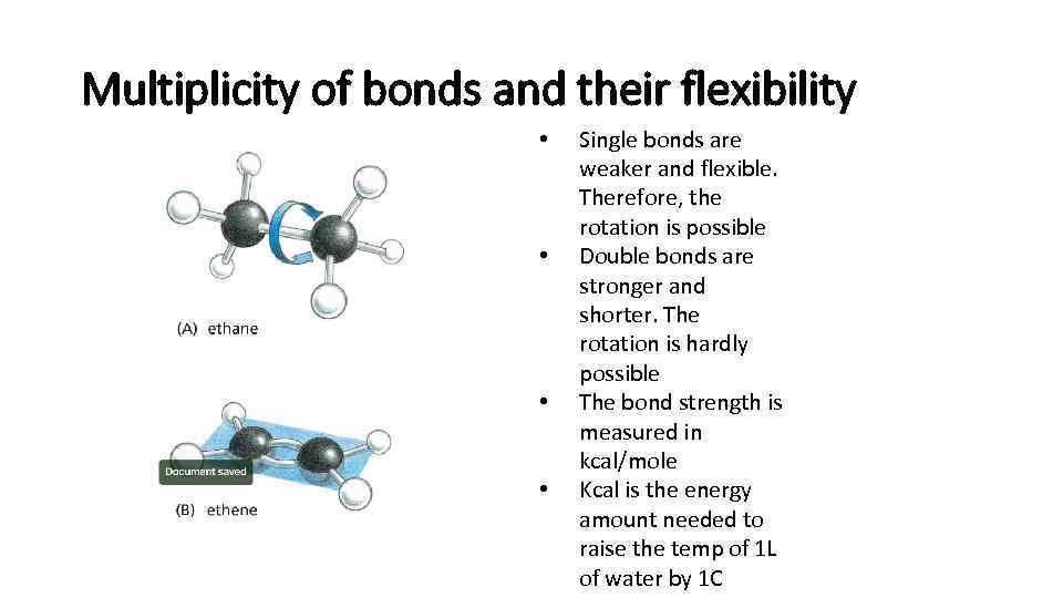 Chemical components of the cell Arnat Balabiyev Ph