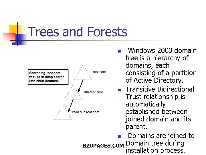 An Introduction to BZUPAGES COM Introduction n